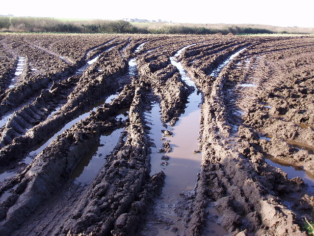 Review: Rainbows in the Mud by Paul Maunder – Rolf Rae-Hansen